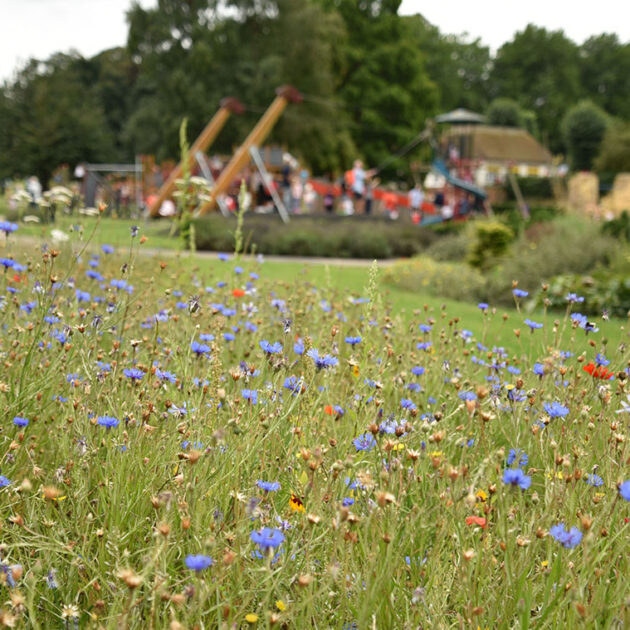 Partnership Working in Colchester - idverde Grounds Maintenance