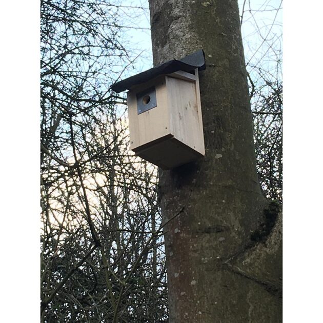 Building Bird Boxes With Local School Children - idverde