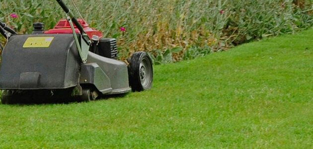 idverde celebrates National Apprenticeship Week: Part Two - idverde