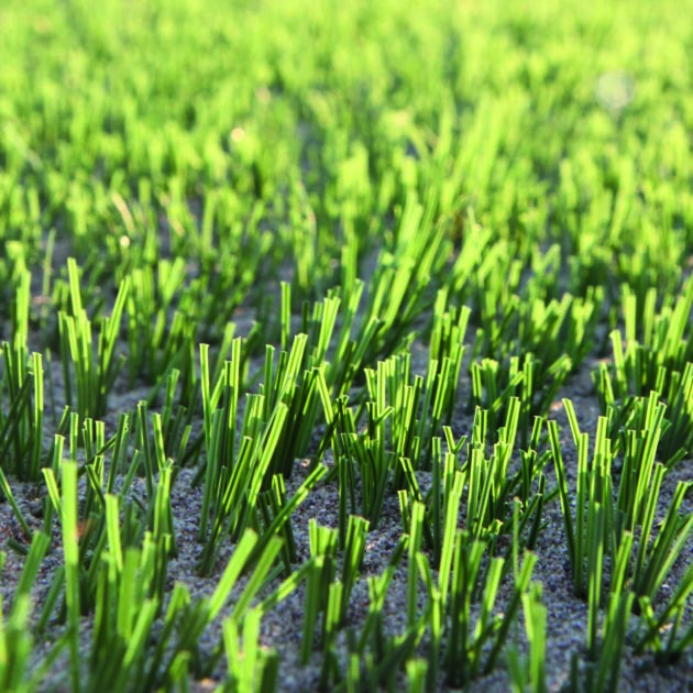 Mixto by idverde raises renovation standards at BTME - idverde