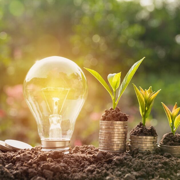 The idverde guide to commercial energy saving - idverde