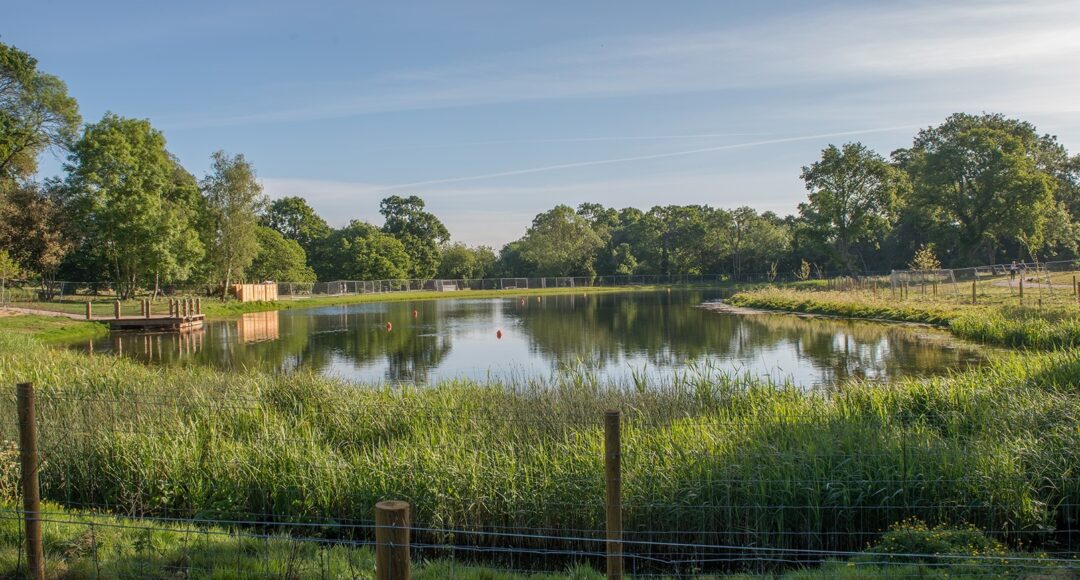 Measuring the Value of Trees - idverde