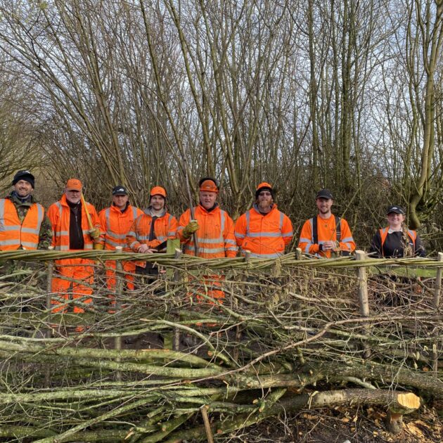 Successful Inception of Hedgelaying Training in the Midlands - idverde